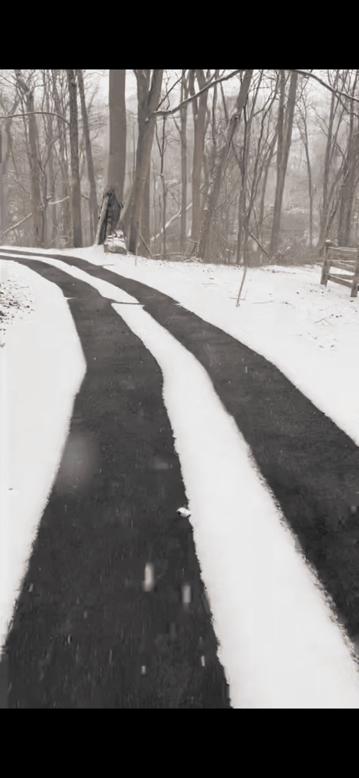 Long Heated Asphalt Driveway with Tire Tracks Showcase in Elverson, PA ...