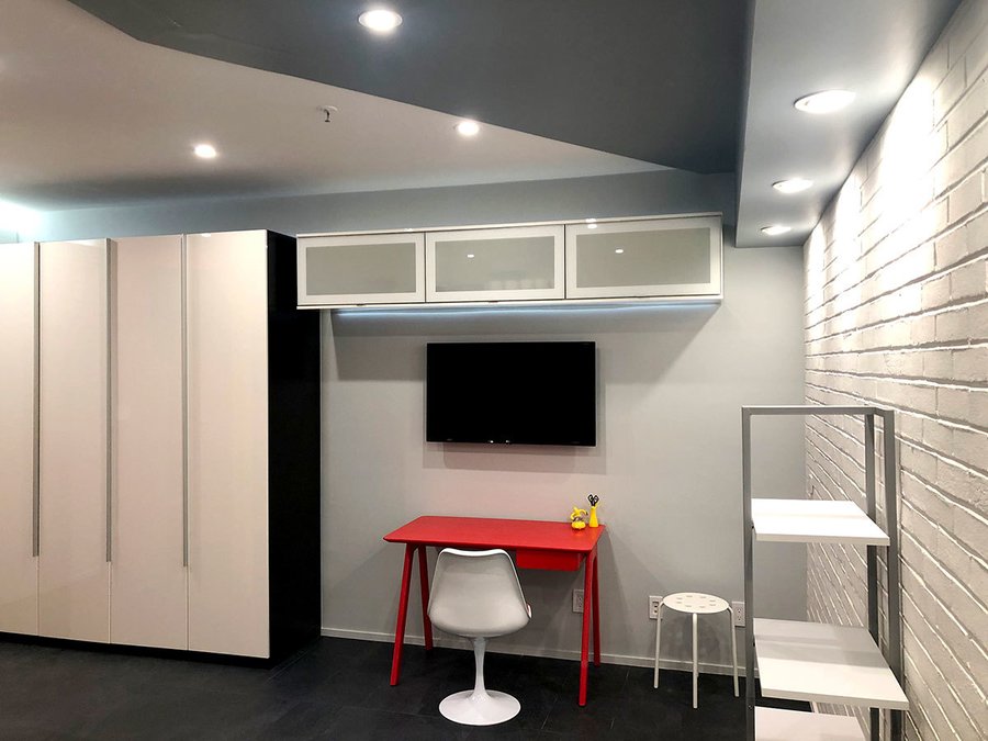 Modern Basement Showcase in Washington, DC. 210 sq.ft.